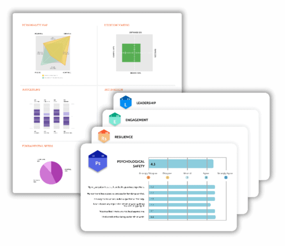 Executive and Team Onboarding | orgshakers.com